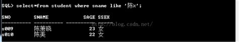Oracle 19 Like运算符and转义操作符oracle Like 通配符 Csdn博客