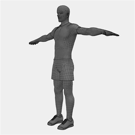 Athletic Male Rigged Model 3d 119 Ma Free3d
