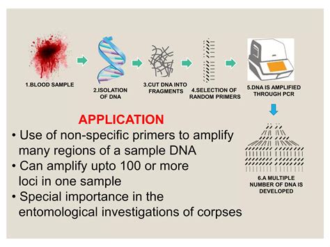 Role Of Biotechnology In Forensic Science Pptx