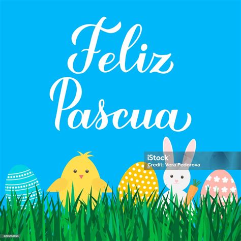 스페인어로 된 행복한 부활절 서예 글자 달걀 토끼 귀여운 만화 치킨 풀밭에 부활절 축하 인사말 카드입니다 벡터 일러스트 레이 션 계절에 대한 스톡 벡터 아트 및 기타 이미지