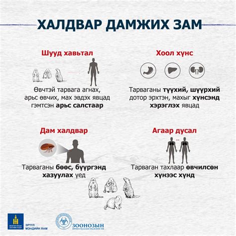ТАРВАГАН ТАХАЛ ӨВЧНӨӨС СЭРГИЙЛЬЕ Эрүүл Мэндийн Яам