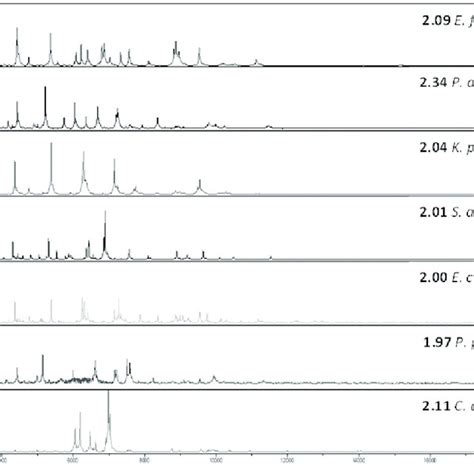 Maldi Tof Ms Spectra Of Bacteria And Yeast Captured And Eluted From Download Scientific Diagram