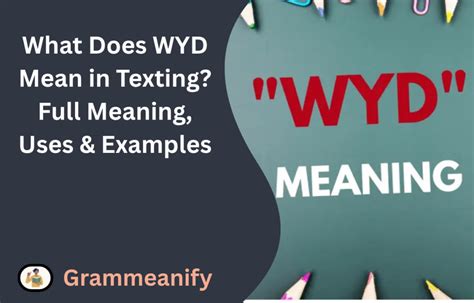 What Does Wyd Mean In Texting Full Meaning Uses And Examples Grammeanify