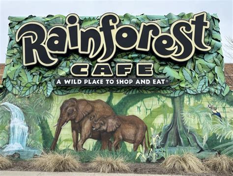 Florida Has 3 Of The Last Remaining Rainforest Café Locations