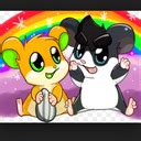 Gay Hamster On Tumblr