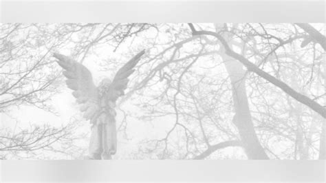 Pin By Kira Neko On Steam White Angelcore Aesthetic Wallpaper Angel