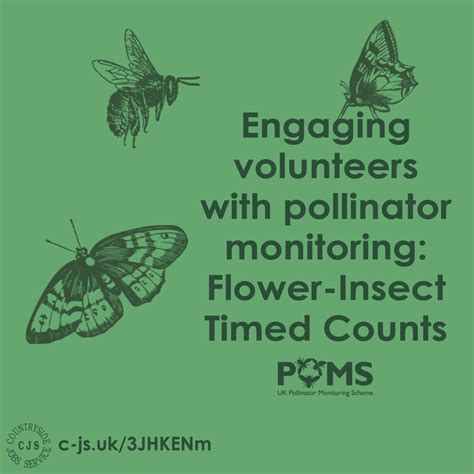 Engaging Volunteers With Pollinator Monitoring Flower Insect Timed Counts Beesneedsweek