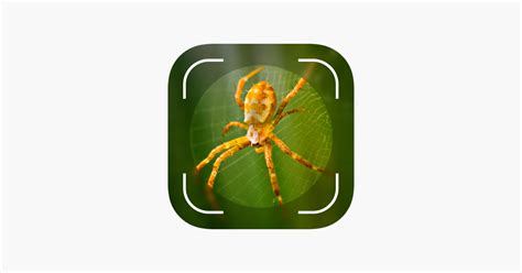 ‎app Store Bug Identifier Identify Insect