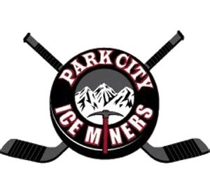 Competitive Teams Youth Sports Alliance