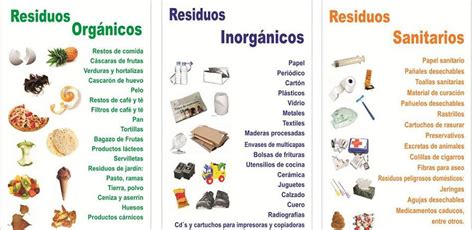 Clasificacion Y Tipos De Basura