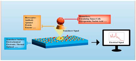 Sensors Free Full Text Application Of Biosensors In Detecting Breast Cancer Metastasis