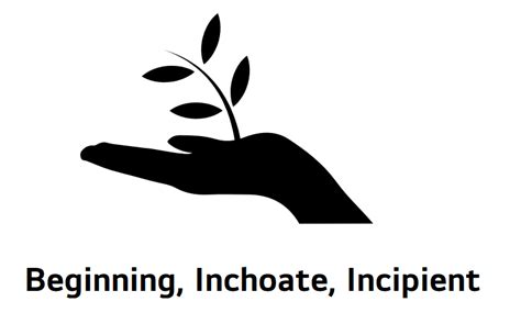 Difference Between Beginning Inchoate Incipient Make Your English Easy