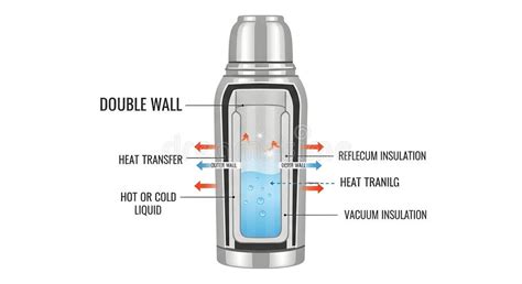 Thermos Flask Diagram With Insulation Layers Stock Illustration