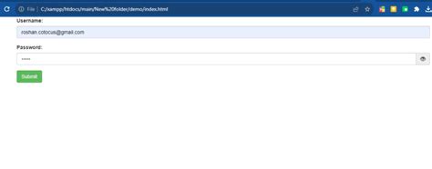 Show Or Hide Toggle Password Input Field With Example Dataops