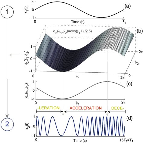 Schematic Illustration Of A Phase Dynamics Coupling Function The First Download Scientific
