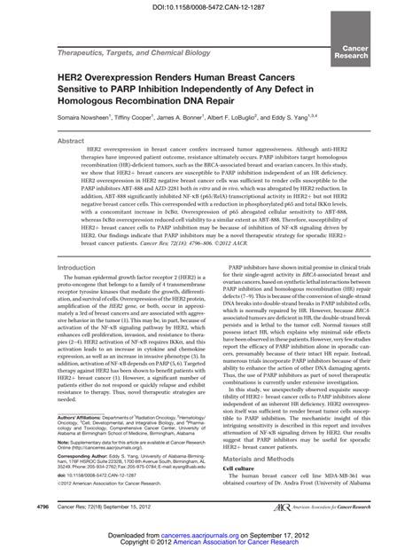 Pdf Her2 Overexpression Renders Human Breast Cancers Sensitive To Parp Inhibition