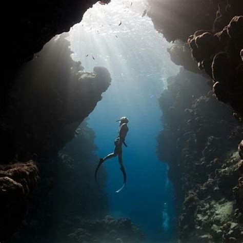 Haruchonns Underwater Photography Ocean Beautiful Locations Nature