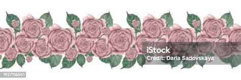 원활한 테두리 흰색 배경에 다양한 크기의 분홍색 장미와 녹색 잎의 배너입니다 수채화 그림입니다 포장 디자인 엽서 초대장 웹 디자인 인쇄용 템플릿 0명에 대한 스톡 벡터 아트