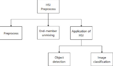 Diagram Of Hyperspectral Image Processing Download Scientific Diagram