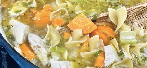 Feed A Cold” Hearty Chicken Noodle Soup Ulysses Press