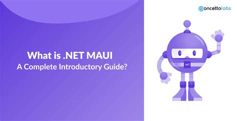 What Is Net Maui A Complete Introductory Guide
