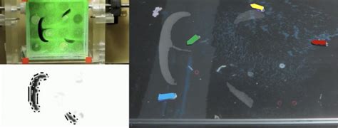 Distributed Tracking Of Spatio Temporal Processes With Multi Robot