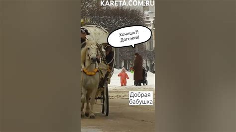 Сказочка про Золушек добрую бабушку кобылу карету и стеснительного принца Youtube