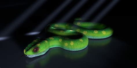 Shubham Gawde On Linkedin 3d Python Model In Maya And Textured With