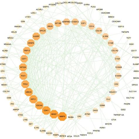 Ppi Network Of Sars Cov 2 And Crc Shared Degs The Octagons In The