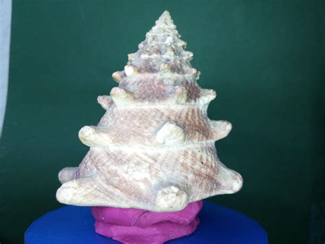 Hiqh Quality Raspberry Pi Camera 12mp For Photogrammetry Comparison