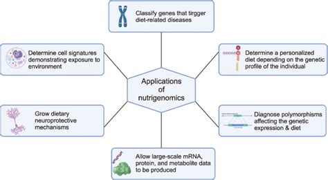 Diagram Illustrating The Applications Of Nutrigenomics Including Download Scientific Diagram