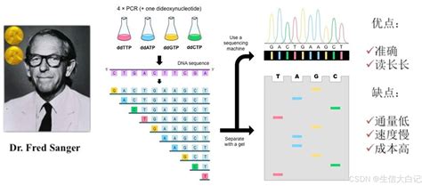 测序技术原理 一代二代三代测序原理 Csdn博客