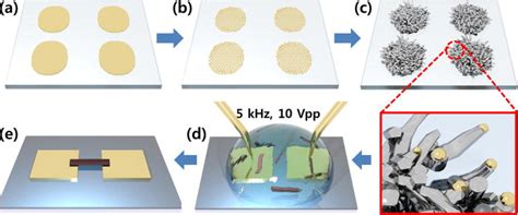 Cdte Microwire Based Ultraviolet Photodetectors Aligned By A Non