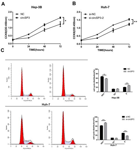 Circsp3 Induced Hcc Cell Proliferation In Vitro A A Cck 8 Assay Was