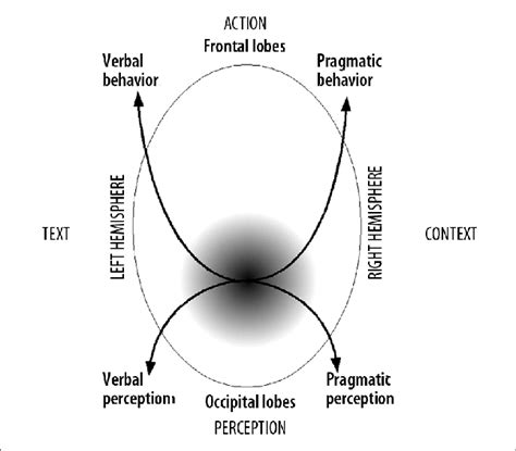 Microgenetic Model Of Perception Action Cycle On The Basis Of