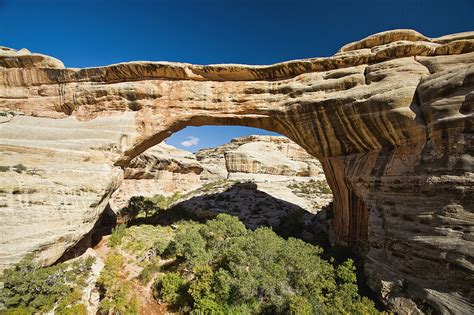 Natural Bridges National Monument In License Image 70210050