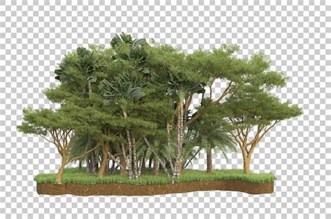 Page 3 Forrest Gump Psd 600 High Quality Free Psd Templates For Download