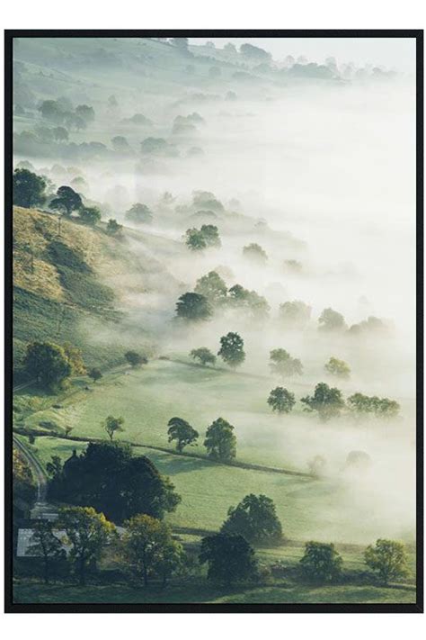 Постеры на стену ботаника Постер тропический лист постеры на стену в скандинавском стиле