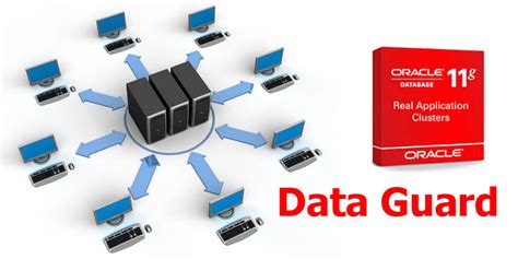 Oracle Rac And Data Guard Combined Training Sys Dev Ltd