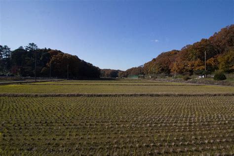 まさじの窓 328 小春日和 まさじの窓