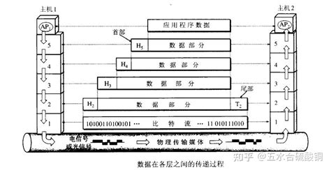 开发之网络协议 知乎