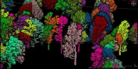 Point Cloud Automata Pca Post Processing Software