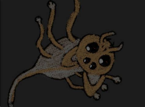 Spider Kitty By Vestrala On Deviantart