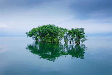 ইউনিয়ন পরিষদ ডিজিটাল অনলাইন সেবা সিসে্টেম এর আপনাকে স্বাগতম।