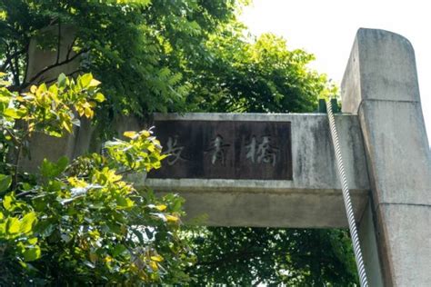 大坑4號步道系列中最美也是最硬的步道全台唯一枕木搭建而成攻頂頭嵙山 健行筆記