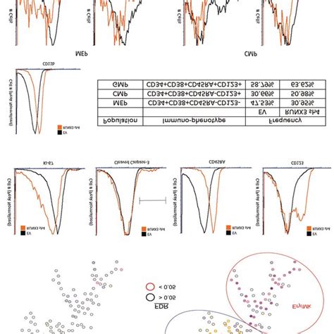 Runx3 Levels Influence Progenitor Lineage Output Balance A Minimum