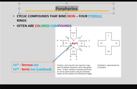 Lecture 15 Biochemistry Heme Metabolism And Jaundice Flashcards Quizlet