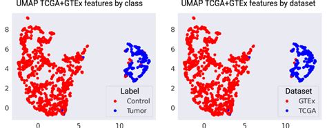 Umap Projection Of Features From Tcga Gtex Slides Colored By Label
