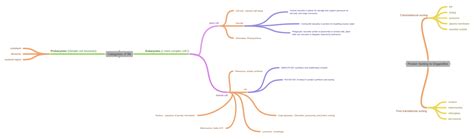 Categories Of Life Protein Sorting To Organelles Coggle Diagram