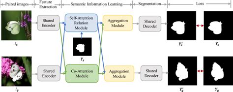 Overview Of Our Model In 1 Shot Segmentation Case A Pair Of Images Download Scientific Diagram